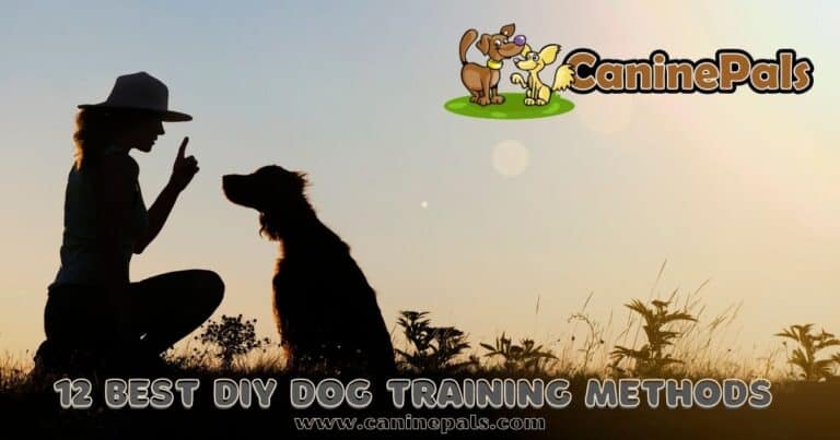 12 Best DIY Dog Training Methods: Dog Training List - Canine Pals