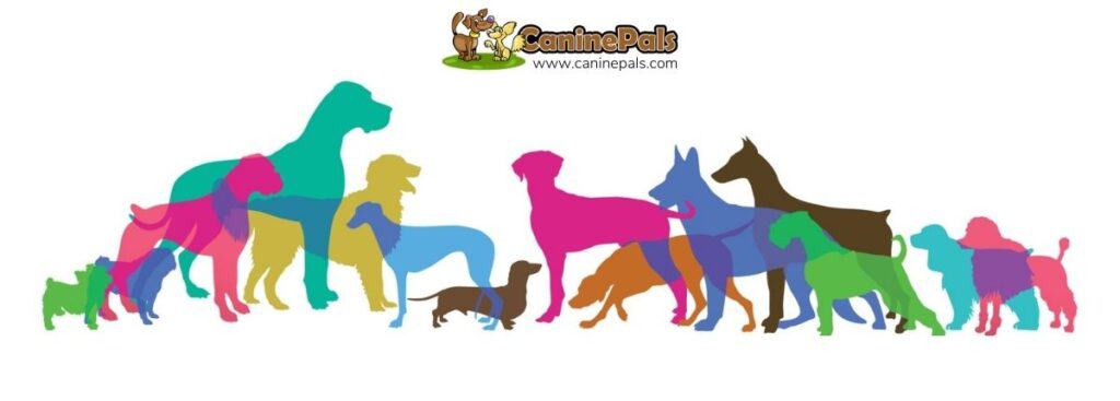 Alphabetical list of Dog Breeds-Dogs A to Z - Canine Pals